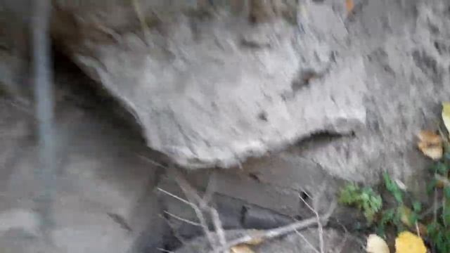 Река Охта и Охтинское водохранилище прогулка+рыбалка 2021 год..