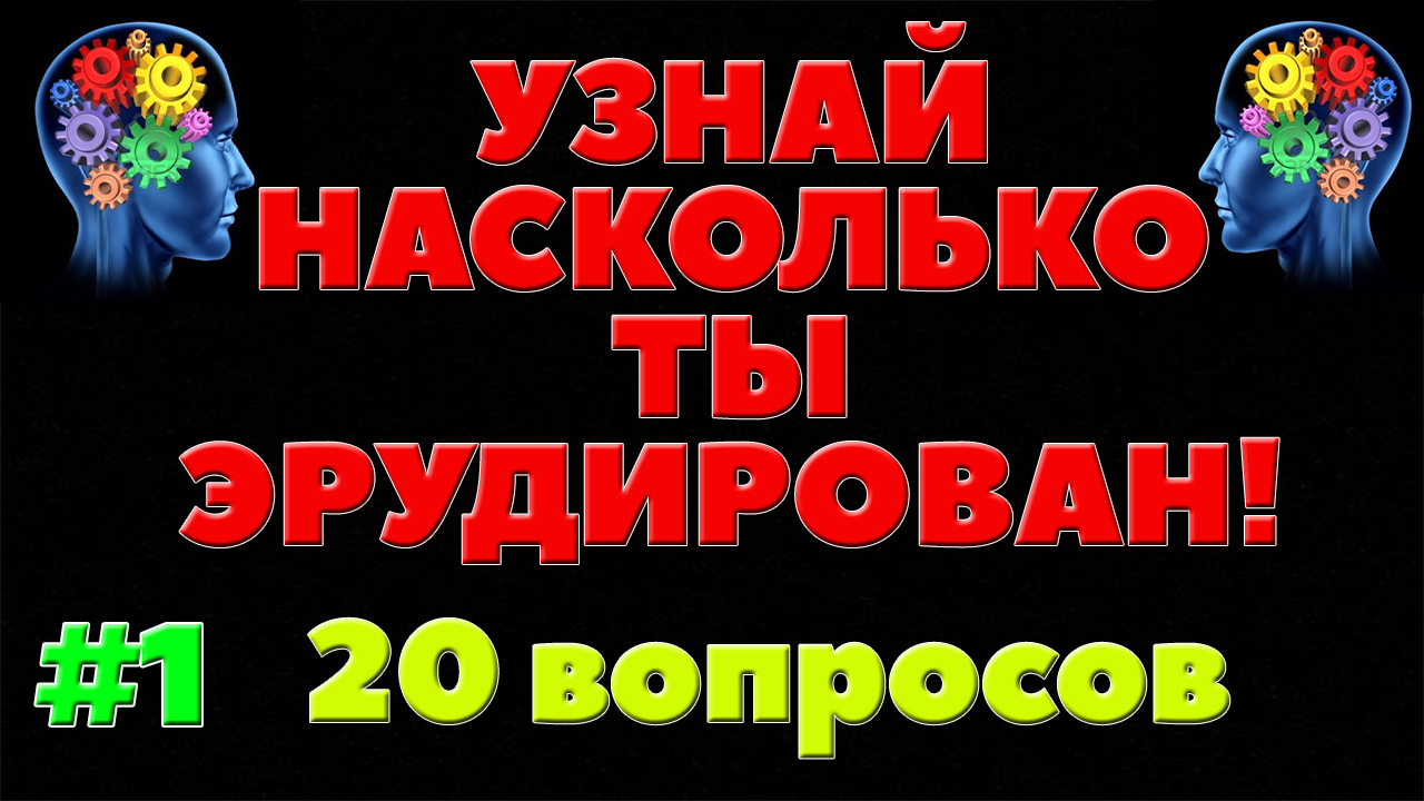 УЗНАЙ НАСКОЛЬКО ТЫ ЭРУДИРОВАН (ТЕСТ) #1.mp4
