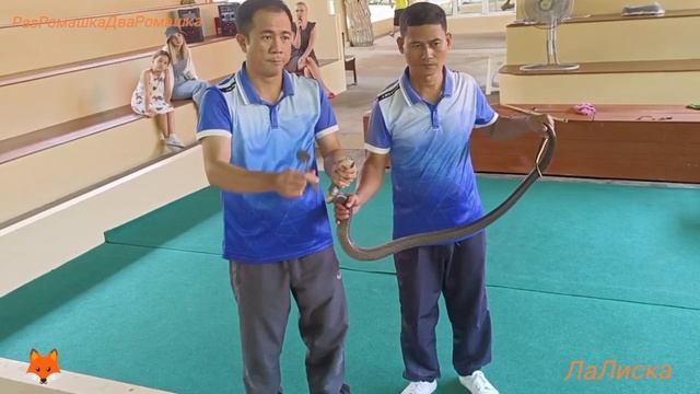 Тайланд. Пхукет. Июль 2023