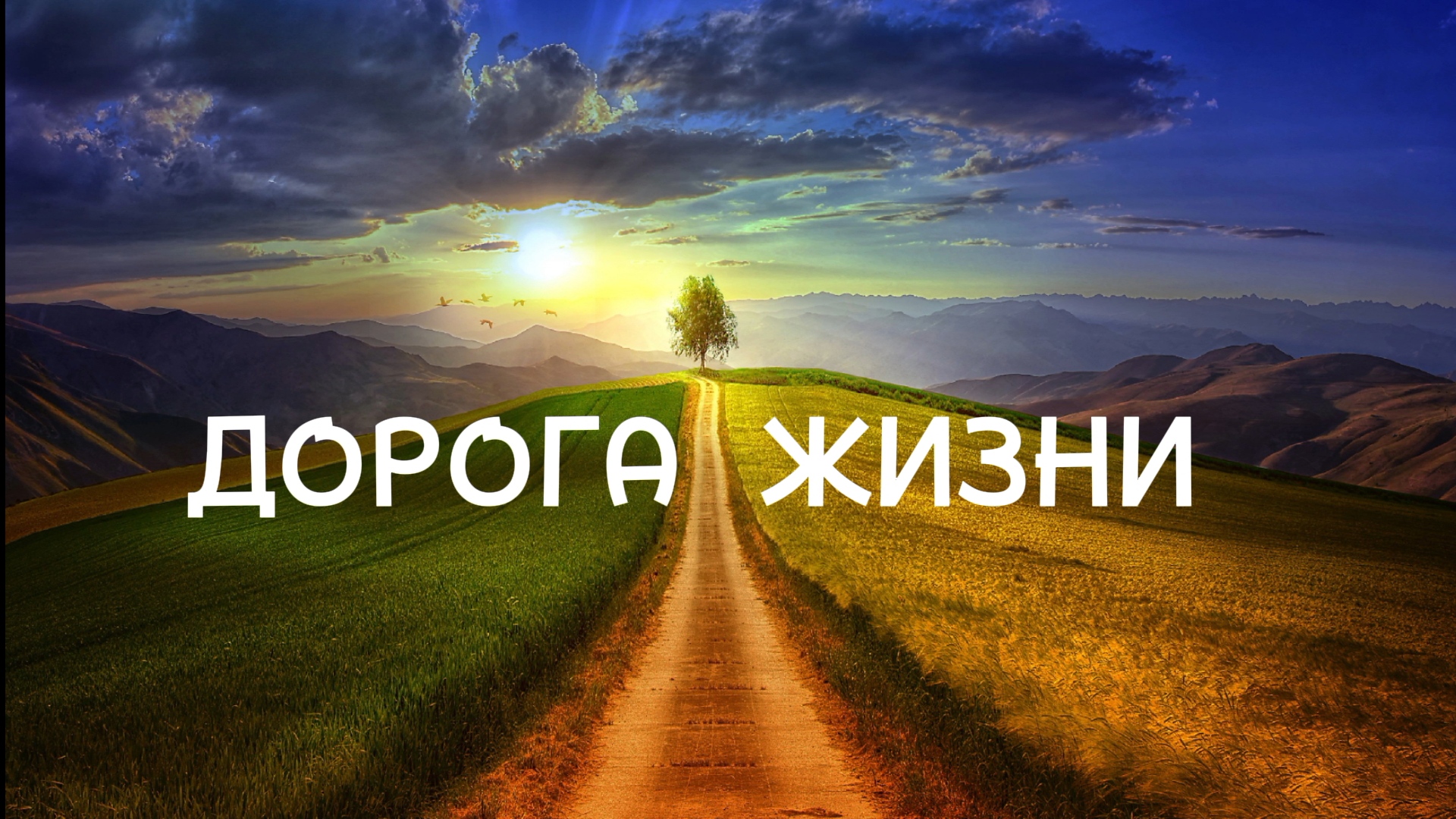 ДОРОГА  ЖИЗНИ