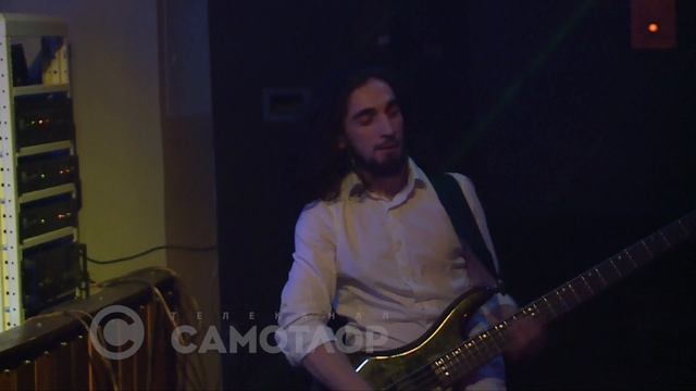 Территория музыки с Шишками