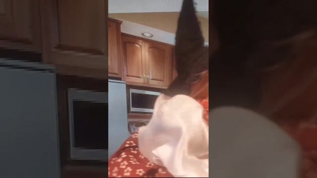 Смешное видео/Куклы Рейнбоу Хай #смешноевидео #куклы #rainbowhigh #лол #rutube