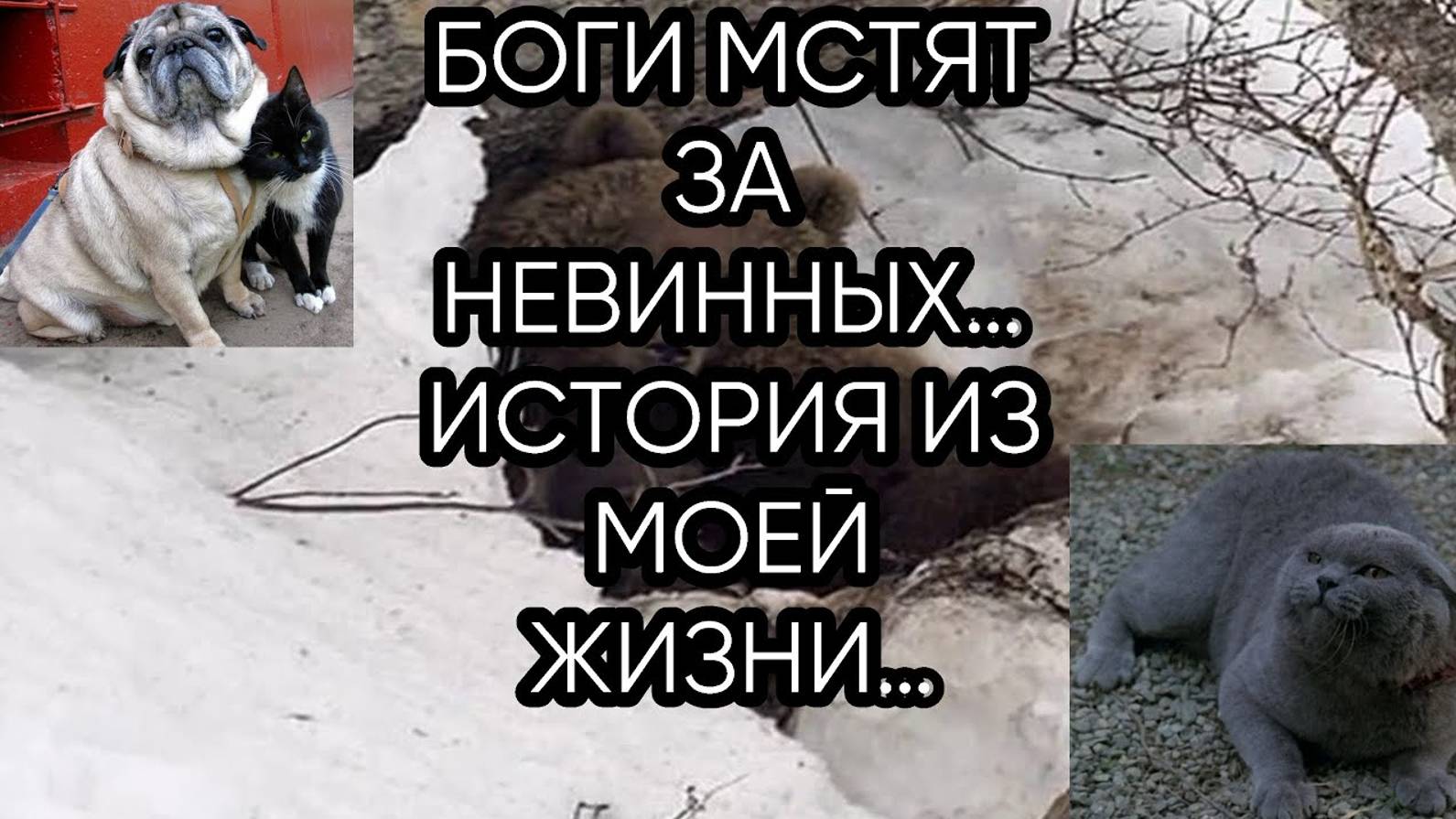 БОГИ МСТЯТ ЗА НЕВИННЫХ…ИСТОРИЯ ИЗ МОЕЙ ЖИЗНИ…