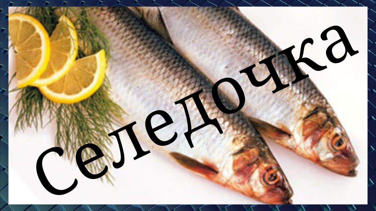 Селедочка к картошечке. Вкусно очень. Кефирно-горчичный маринад. GoodAppetite.