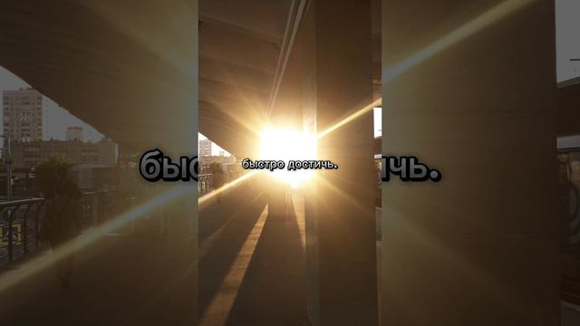 Книжные истории