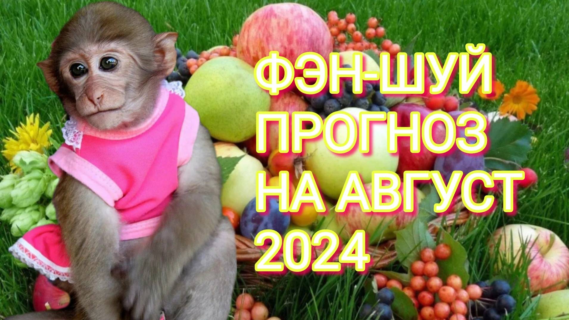 ФЭН-ШУЙ ПРОГНОЗ НА АВГУСТ🐐МЕСЯЦ ВОДЯНОЙ ОБЕЗЬЯНЫ#8
