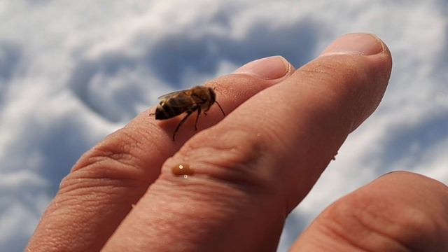 Первый очистительный облёт состоялся 25 марта 2024 г.