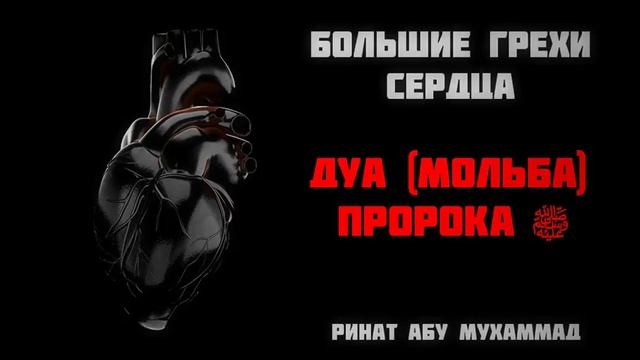 1_Большие_грехи_сердца__Дуа_пророка_ﷺ____Ринат_Абу_Мухаммад.mp4