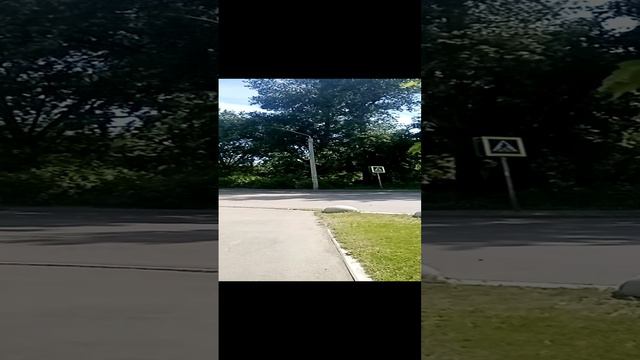 #заросли для разведения комаров на месте снесенных домов #барнаул #поток