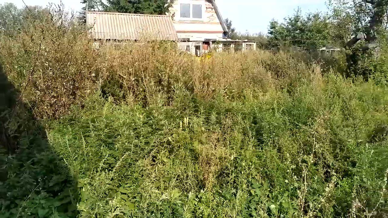 Результат покоса бурьяна Stihl fs 450 / The result of mowing weeds Stihl fs 450