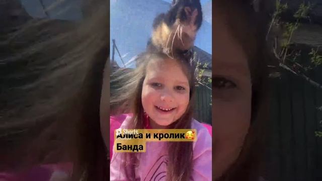 АЛИСА И КРОЛИК