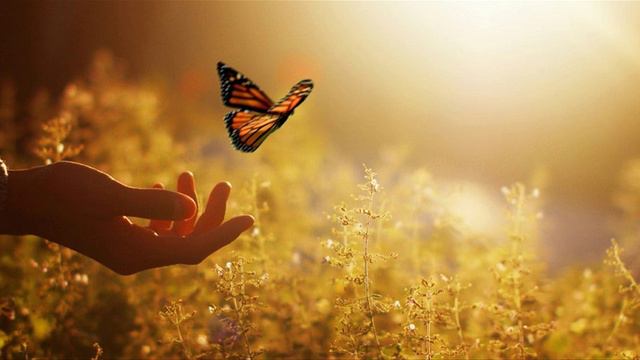 Вот и лето от меня убежало.Счастье своё всё искало. (стих в прозе) песнопение.