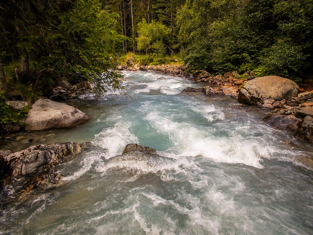 Композитор Эдуард Колмановский. «Бирюсинка» (1962). Поёт Ярослав Годованый. Запись 8 апреля 2022 г.