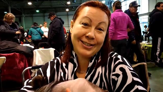 Перед рингом