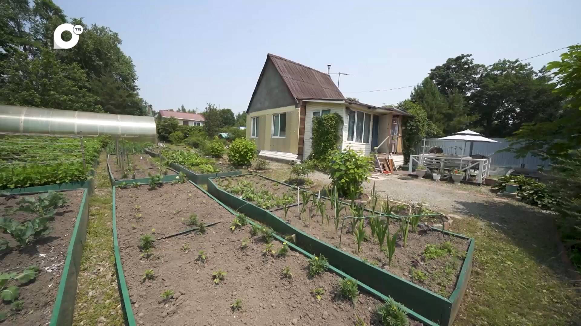 Дачный десант / Королева грядок / 07.07.24