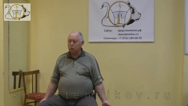 Шерстенников_ Создание ментальной тишины.mp4