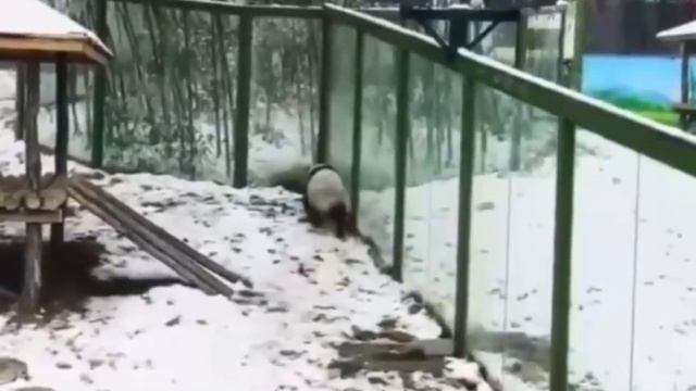 Видео с заглушкой блокировки региона