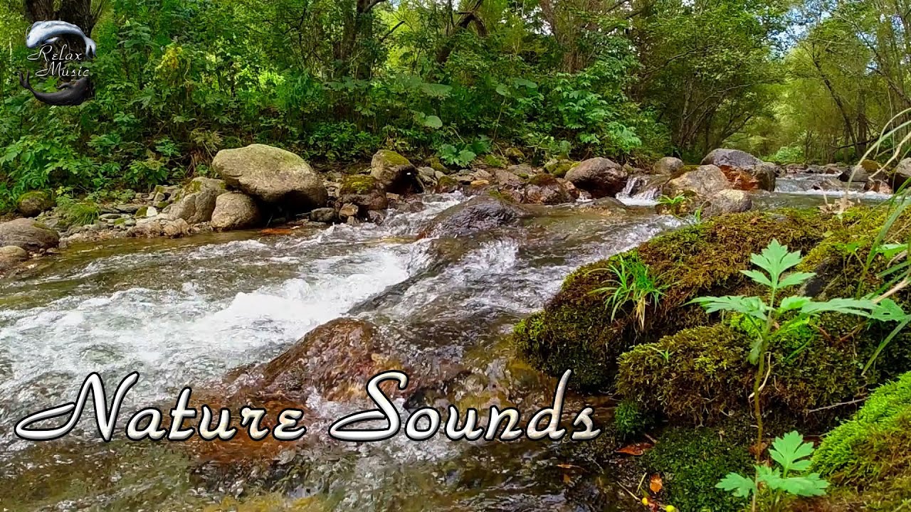 Шум горной реки и щебет птиц / Звуки природы для отдыха, сна, медитации.