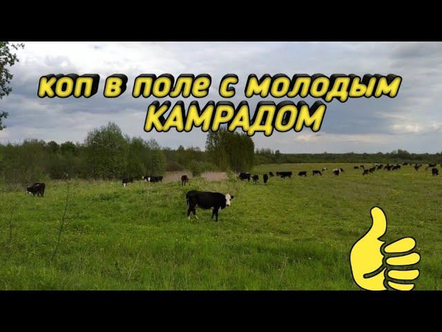 КоП в Поле вдоль дорог,обучаем молодого напарника