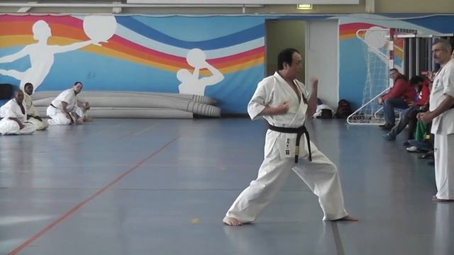 Ката Гекусай Дай. Сборы под руководством И. Мацушимы 9 дан, Япония.