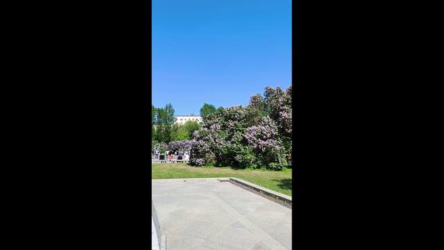 Сиреневый сад в Москве