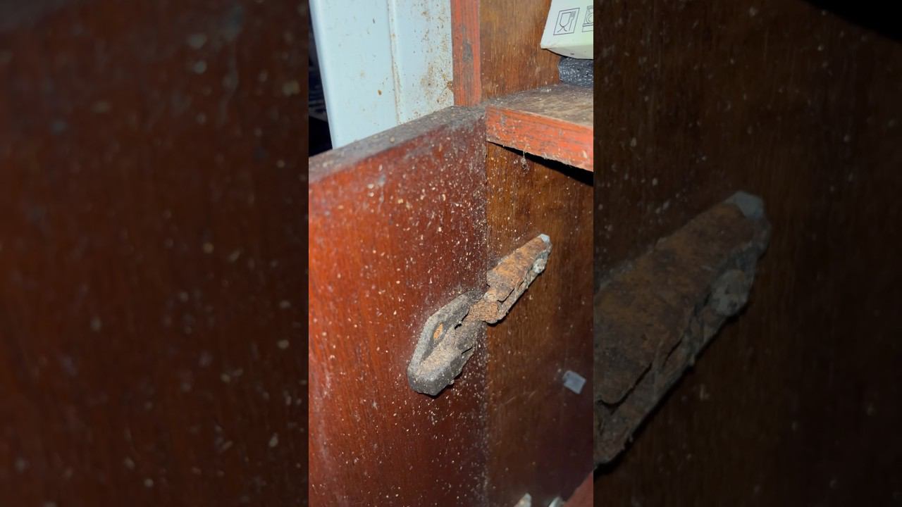 Тараканы кухонный гарнитур |Подпишись| #тараканы #тараканывквартире