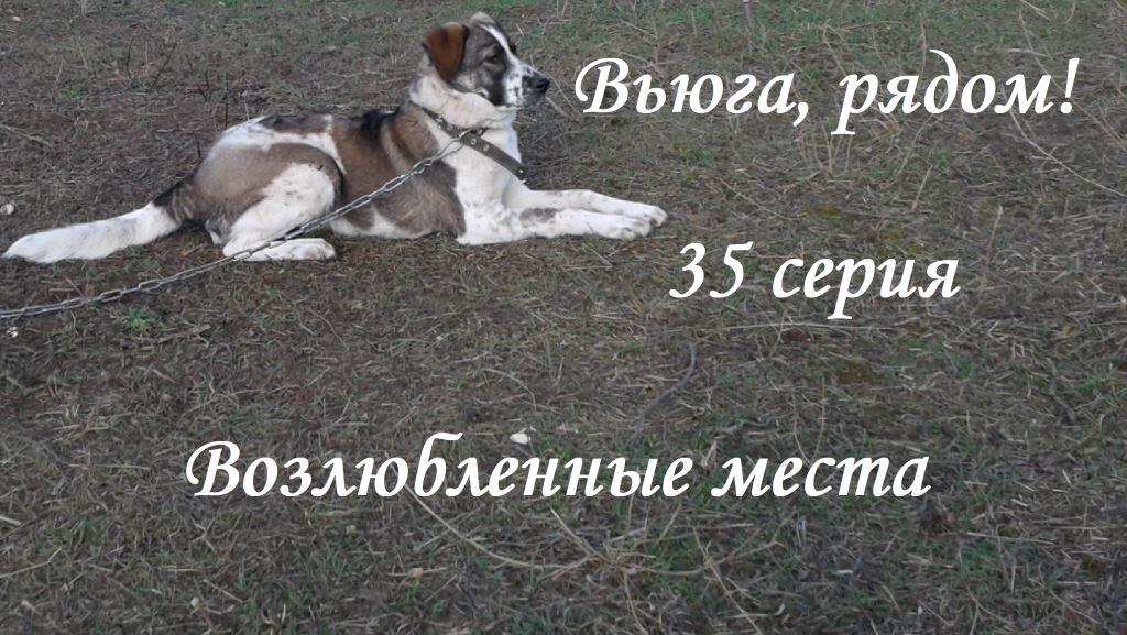 "Вьюга, рядом!" 35 серия "Возлюбленные места"