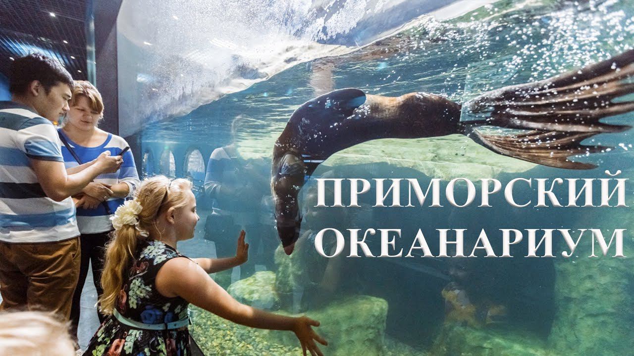 Владивосток Приморский океанариум
