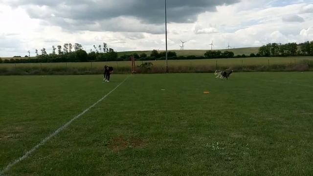 AWI Qualifier Austria'17 Clara & Gibbsi.mp4