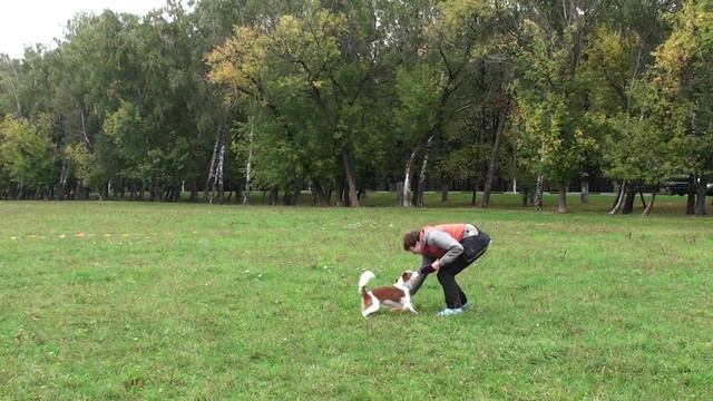 Чемпионат России Фристайл Мария и Чара.mp4