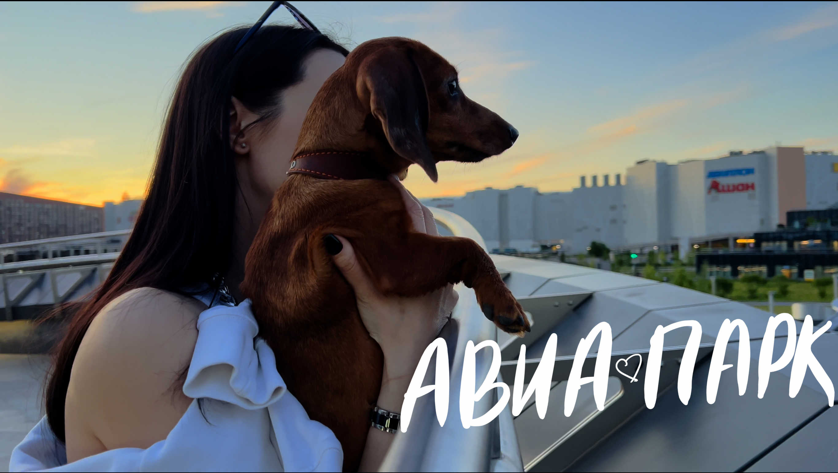 АВИАПАРК, Ходынское поле - вечер, прогулка