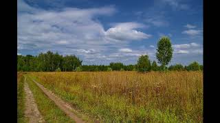 Сергей Есенин. «Мелколесье. Степь и дали...» (1925). Читает Ярослав Годованый