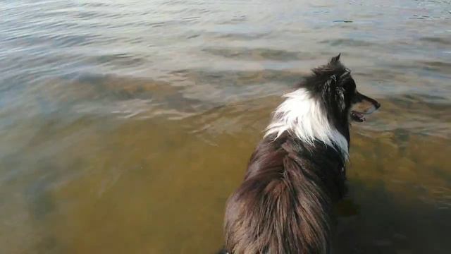 Коди на водах в июле 24