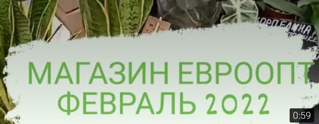 МАГАЗИН ЕВРООПТ? ФЕВРАЛЬ 2022 ГОДА?