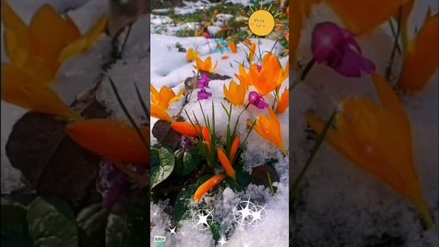 С последним днём зимы!