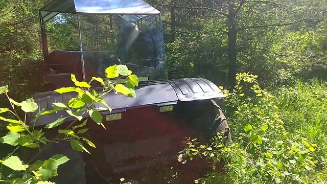 Медведь подрался с бобрами.