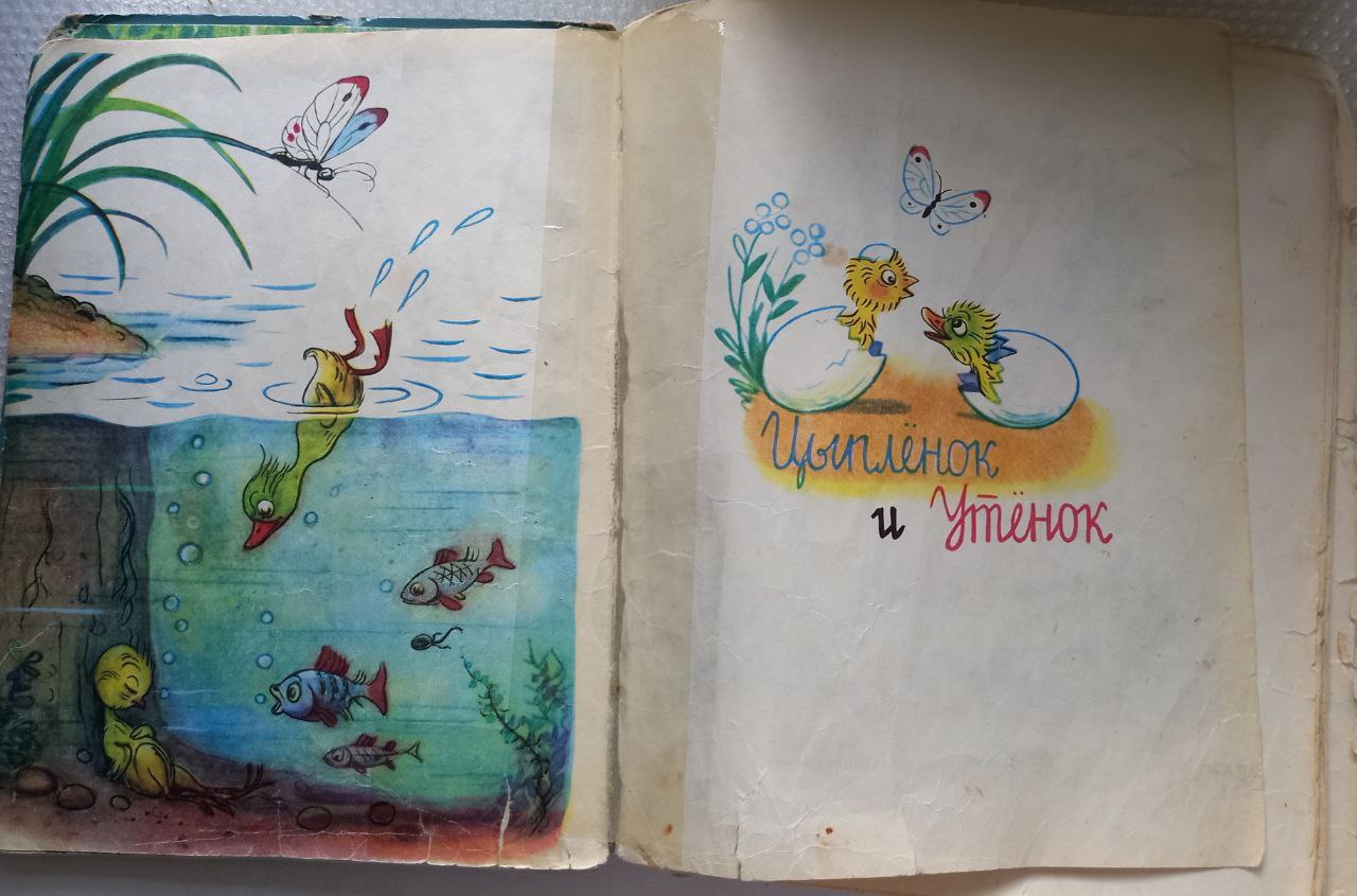 🫠И снова Владимир Сутеев, рассказ "Цыпленок и утенок".