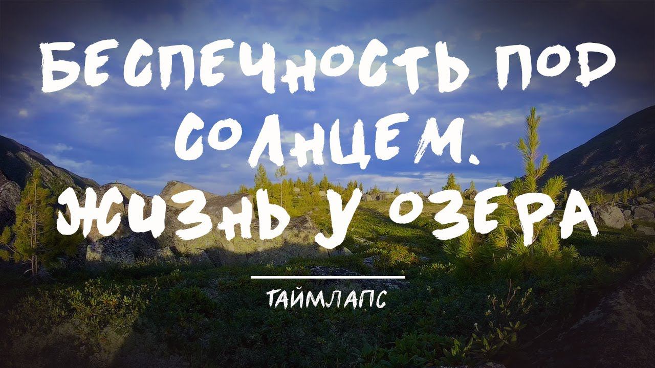 Беспечность под солнцем. Жизнь у озера I Таймлапс