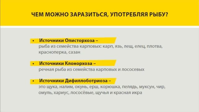 Все, что вы хотели знать о паразитах и как от них избавиться.