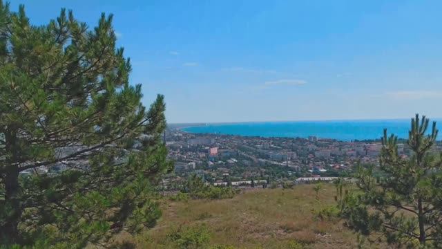 Шикарный лес прямо в городе! Нашла стоянку дикого человека