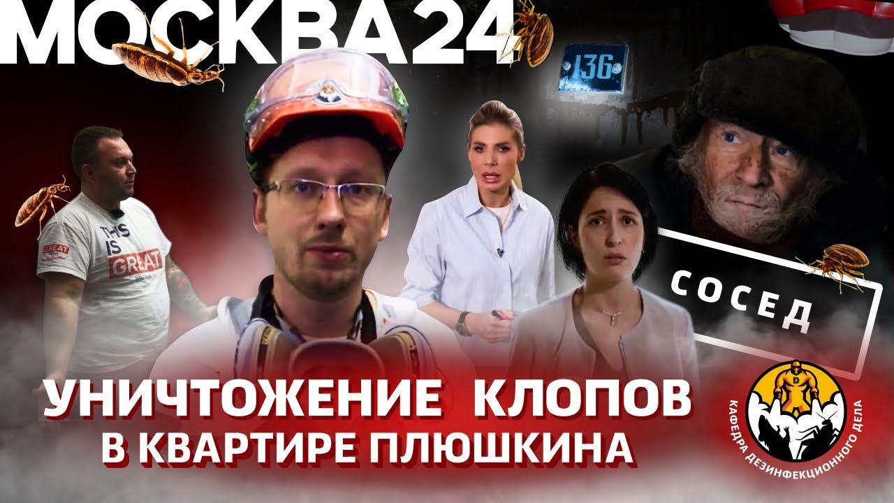Уничтожение клопов в квартире Плюшкина