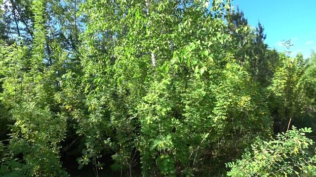 Вывозим ПАСЕКУ на точки, платформа для перевозки ульев.