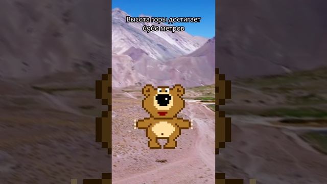 Мишка и Аконкагуа