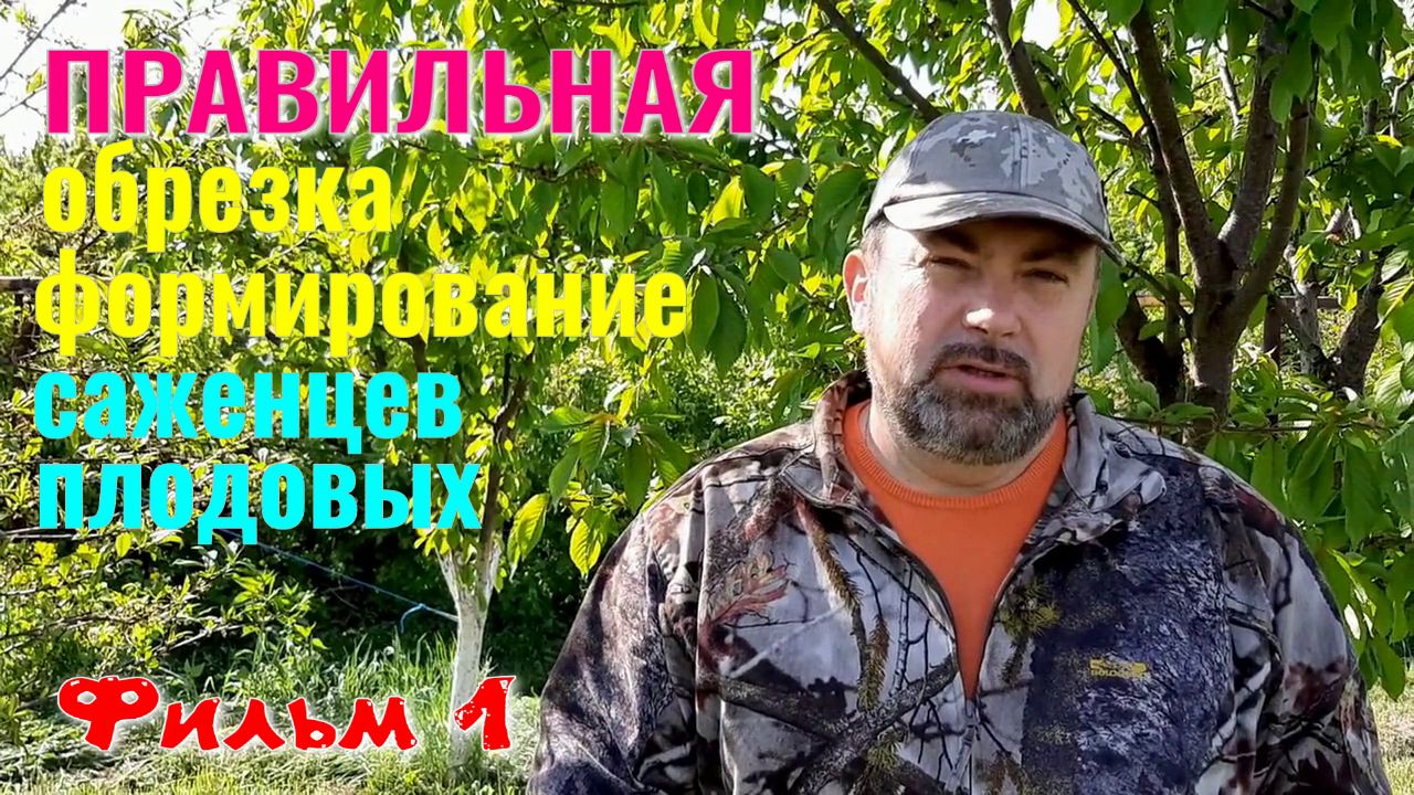 ОБРЕЗКА, Формирование Саженцев Плодовых. Фильм 1 Первый от «Секреты Садовода»