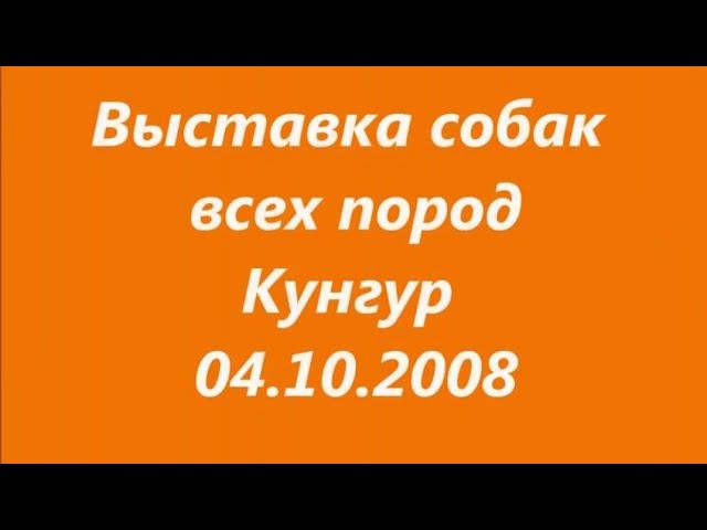 Кунгур, выставка собак 4.10.2008