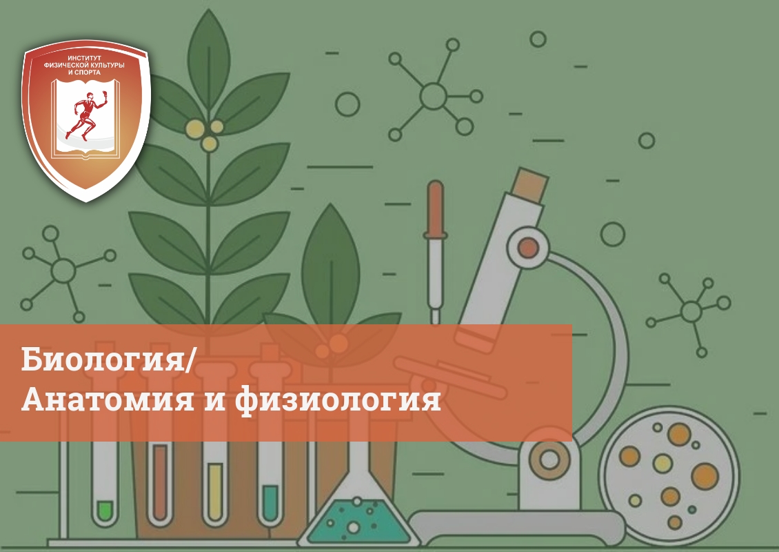 Биология/Анатомия и физиология
