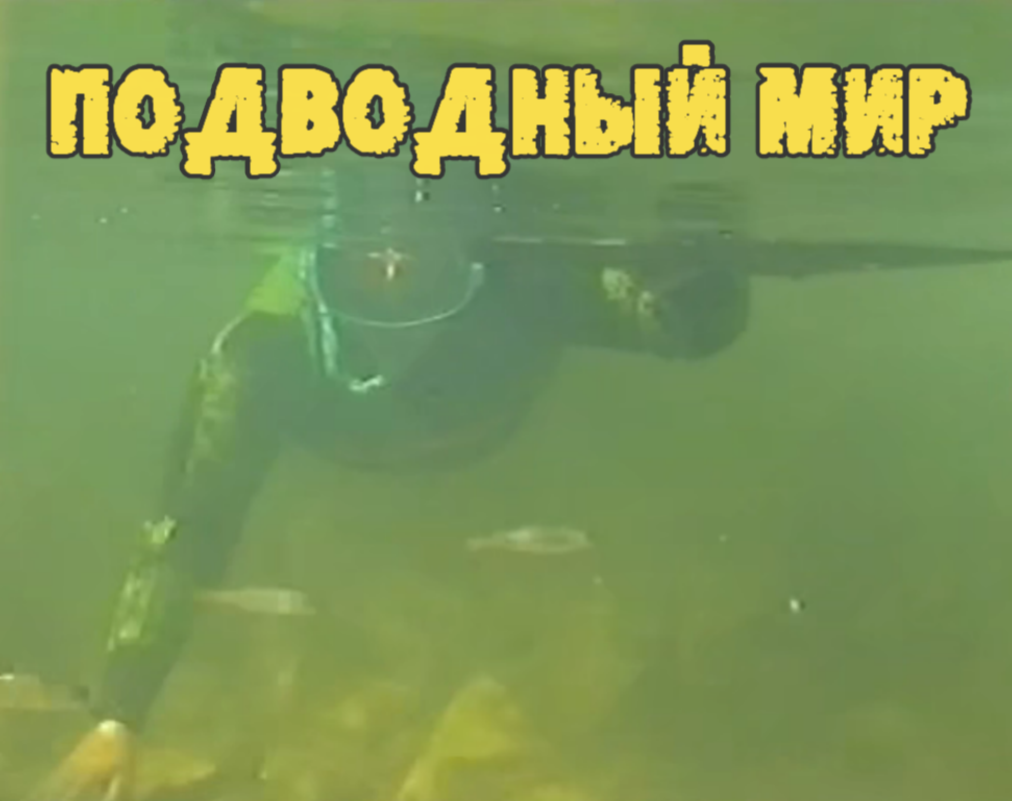 Подводный мир Малого каньона р.Селеты