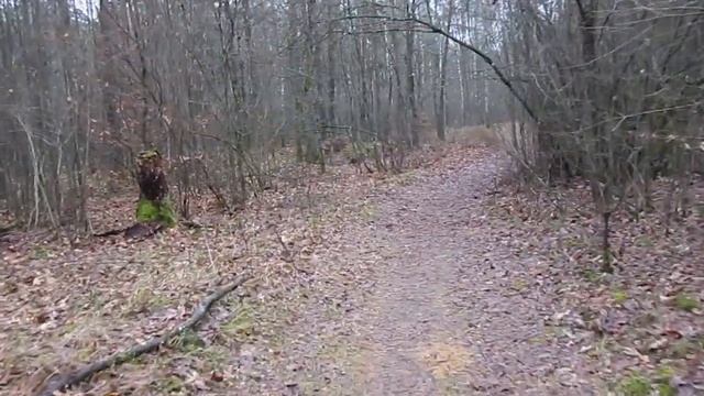 Нордическая ходьба, санаторий  Советск