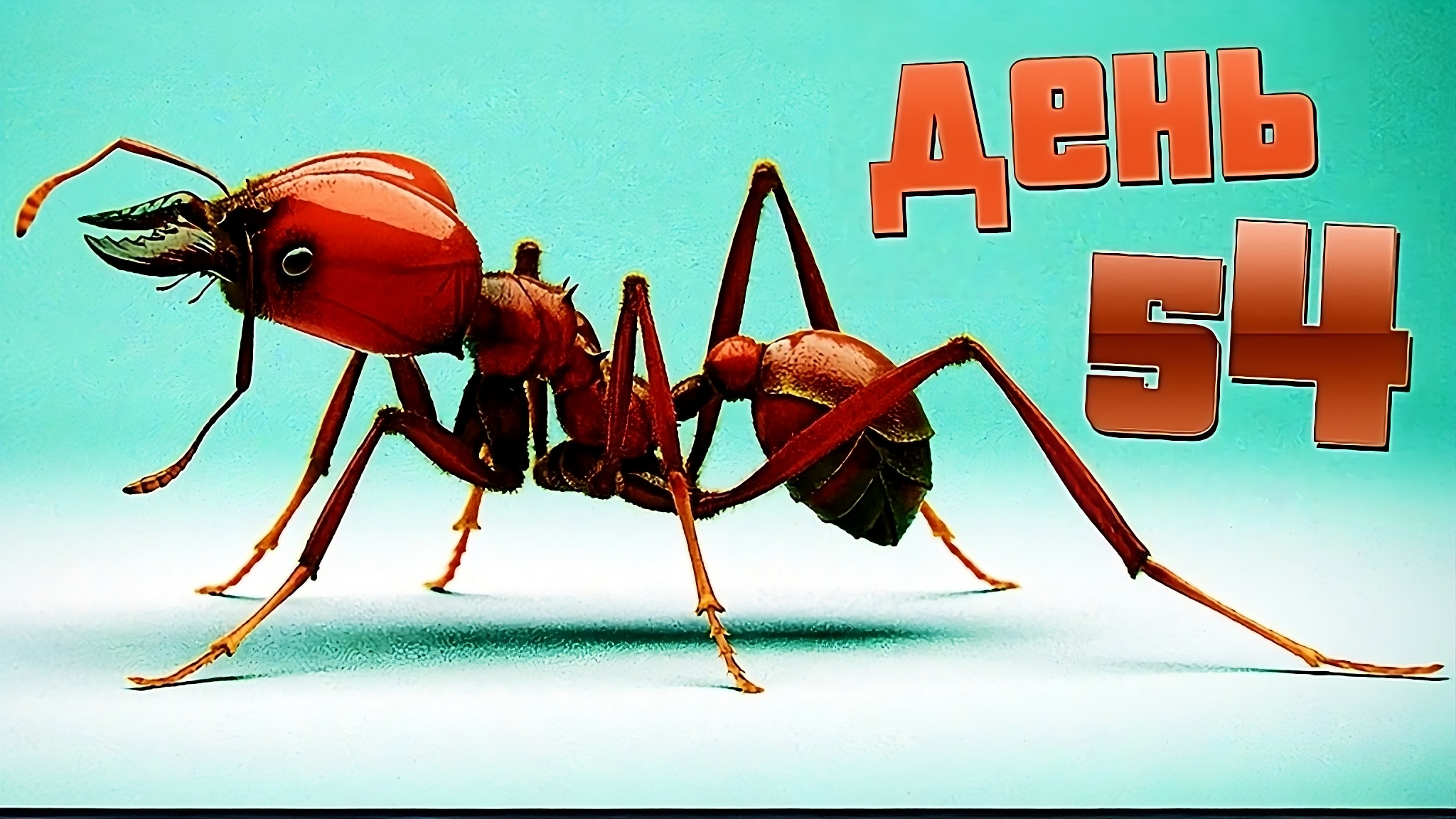 #AnToxiс ? День 5️⃣4️⃣ Три КОЛОНИИ ??? #ants #colony  #antlife    @ParaToxic 