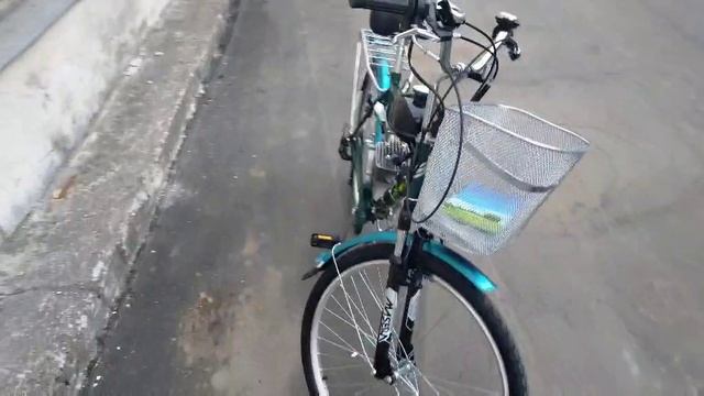 Мотовелосипед Стелс 250 / Мотовелик